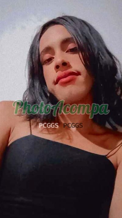 Michelle Albuquerque, nifetinha trans, cuzim ouro massagem realaxante ...